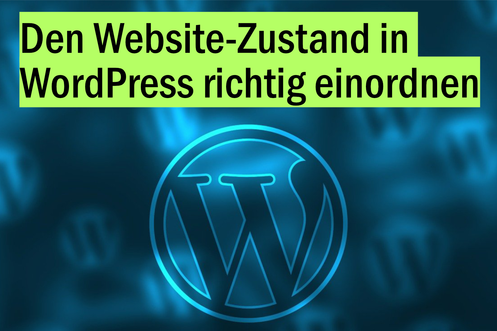 Website-Zustand in WordPress: Technische Hinweise richtig einordnen ...